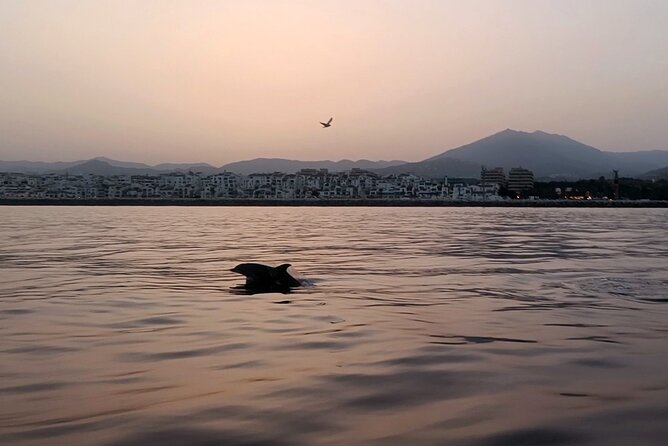 Sunset Sailing on a Private Sailboat Puerto Banús Marbella