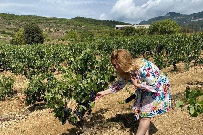 The Authentic Rioja Alavesa wine experiences