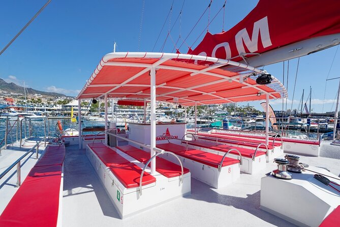 Tour with Whale and Dolphin Watching plus food included