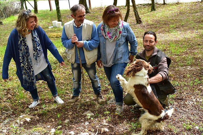 Truffle Hunt & Bio Lunch in Assisi
