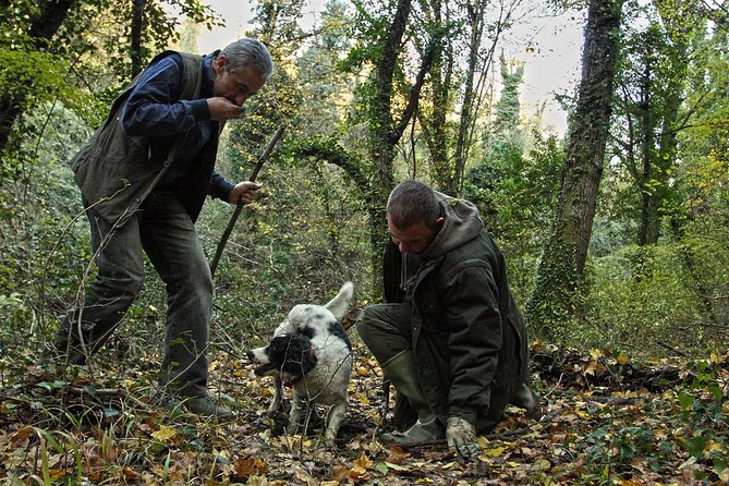 Truffle Hunt & Wine Tasting
