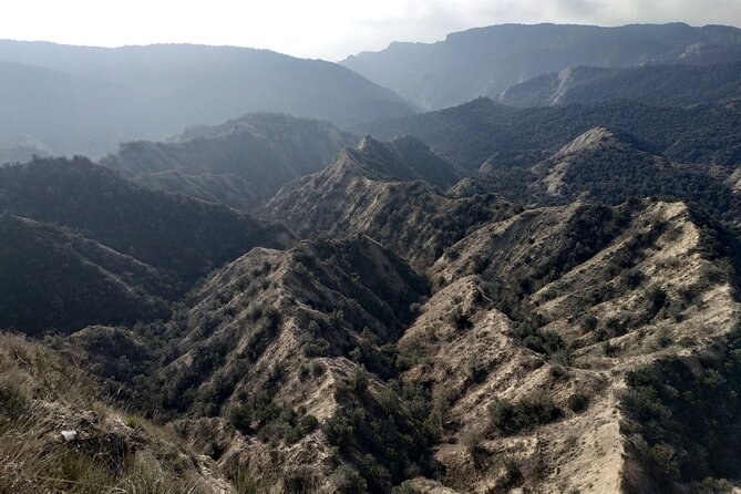 Vashlovani National Park Day Trip from Tbilisi