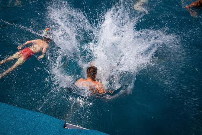 Wave Dancer Sunshine Full Day Cruise - All Inclusive
