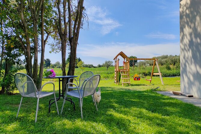 Wine Tasting with Local Food in Lazise Countryside