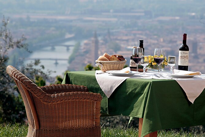 Wine Tasting with Panoramic View of Verona