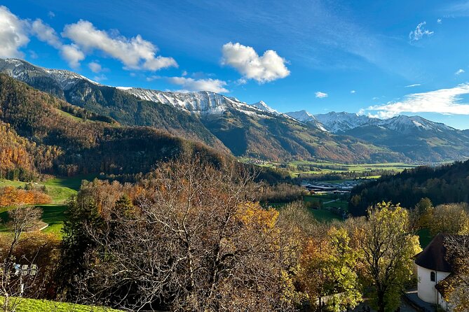 Zurich Private Tour - Gruyères, Cheese, and Lavaux's UNESCO Wine