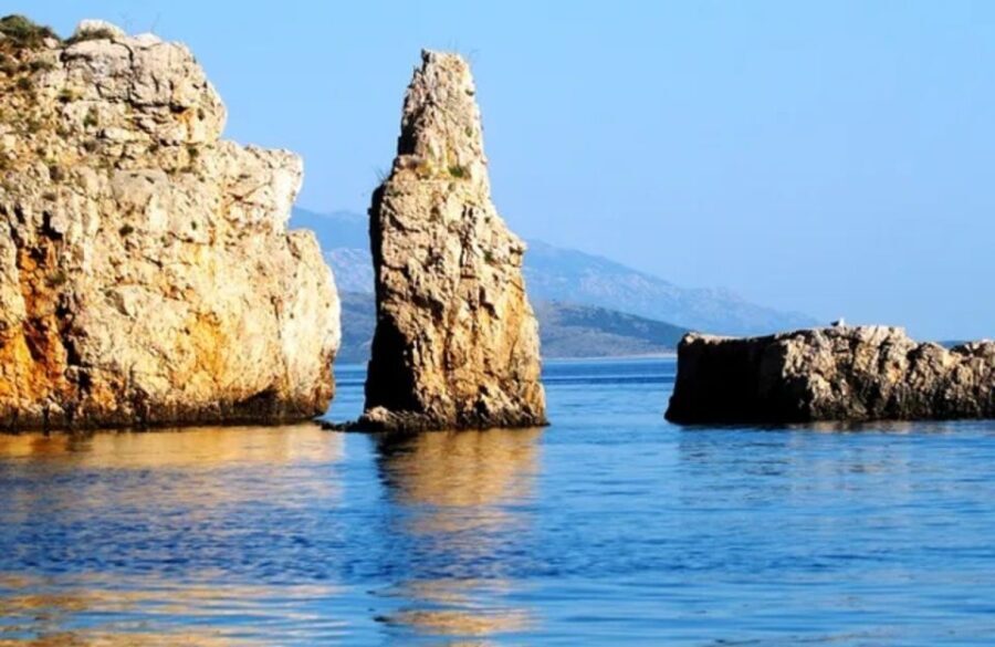 3,5h Wild Bays: Swim & Snorkel with Capt. Bobo (Public)