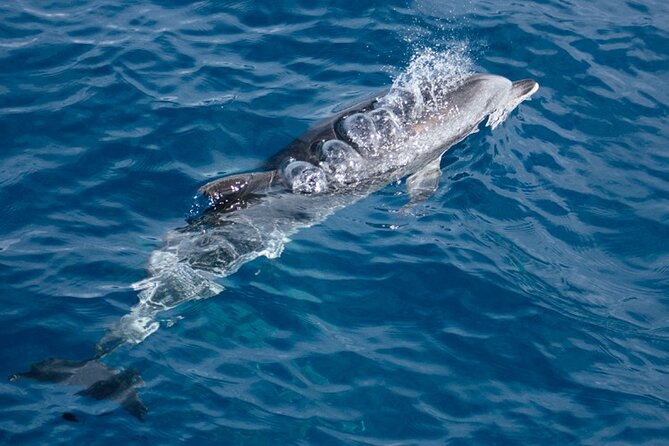 Boat trip along the Northwest Coast of La Palma - In Closing