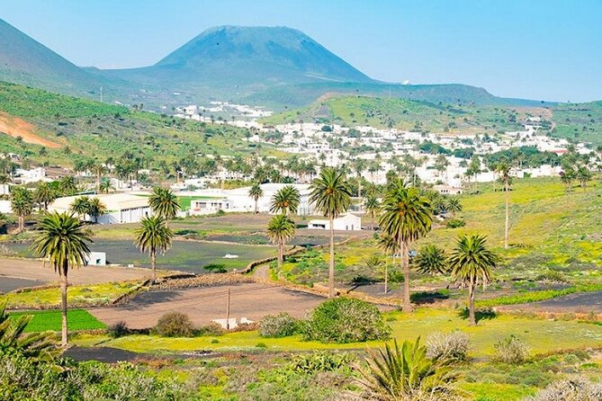 César Manrique: Northern Lanzarote Guided Tour - An Honest Look at the Value