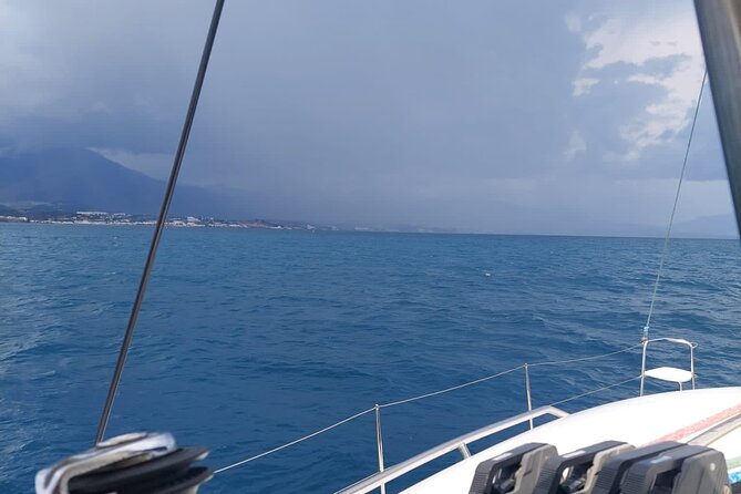 Dolphin trips on a catamaran - The Value of the Experience
