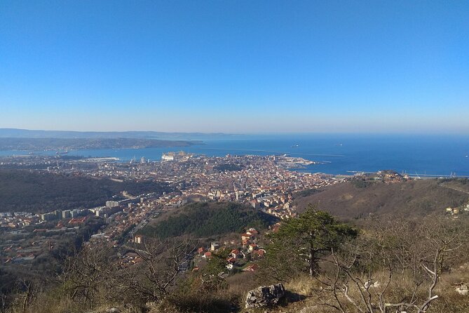 Experience Trieste - FAQ: Practical Questions About the Tour