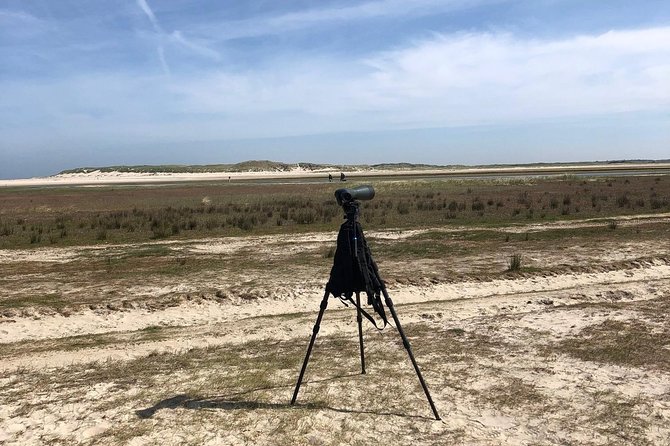 Full day tour to Texel - Friesian Islands - from Amsterdam - Authentic Travel Insights from Reviewers