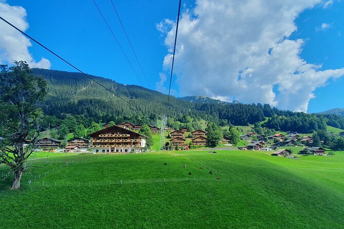 Grindelwald First (Top of Adventure) Ticket incl. Cliff Walk - The Experience of the Ride
