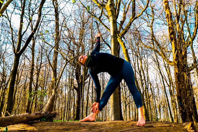 Half-day Forest Bathing and Yoga in Brighton's Woodlands - What Participants Say: Authentic Voices
