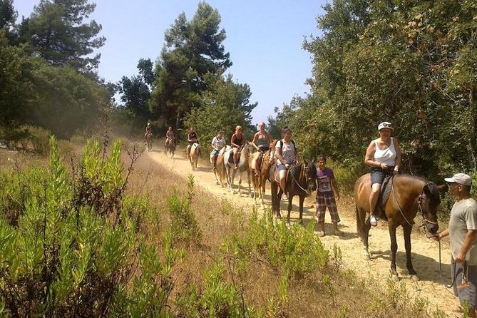 Horseback Riding From Kusadasi Port For Cruise Guests - Authentic Experiences from Past Riders