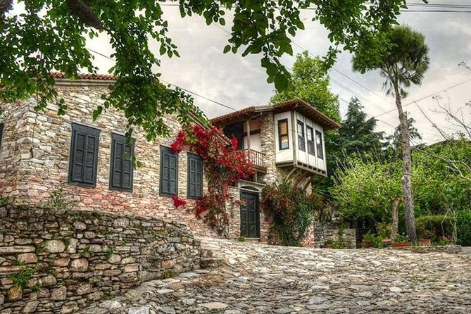 Kusadasi Port to Ephesus, House of Virgin Mary, Temple of Artemis - Who Will Love This Tour?