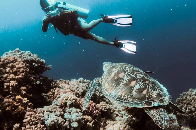 Kusadasi Scuba Diving Tour By Local Experts - The Experience in Context