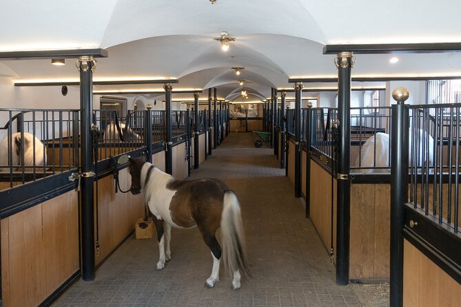 Lipica Stud Farm & Skocjan Caves - Small Group Tour from Koper - Who Will Enjoy This Tour?