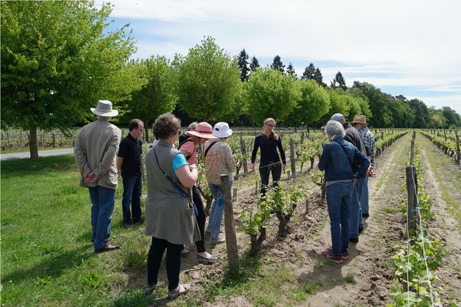 Loire Valley Wines Private Day Tour with Tastings from Tours or Amboise - Practical Details and What to Expect