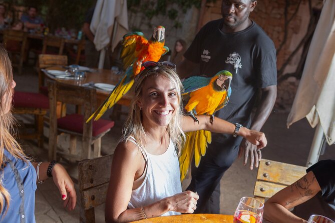Mallorca Evening Tour: Horseback Riding, Dinner and Dance - Who Will Love This Tour?