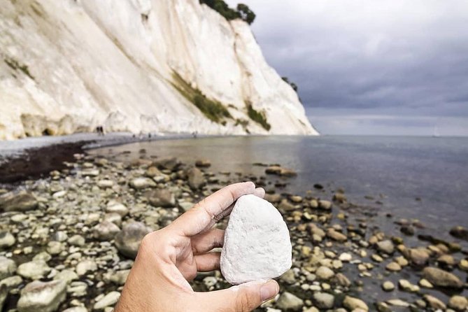 Møns klint and The Forest tower - A day tour from Copenhagen - Authentic Experiences and Practical Tips