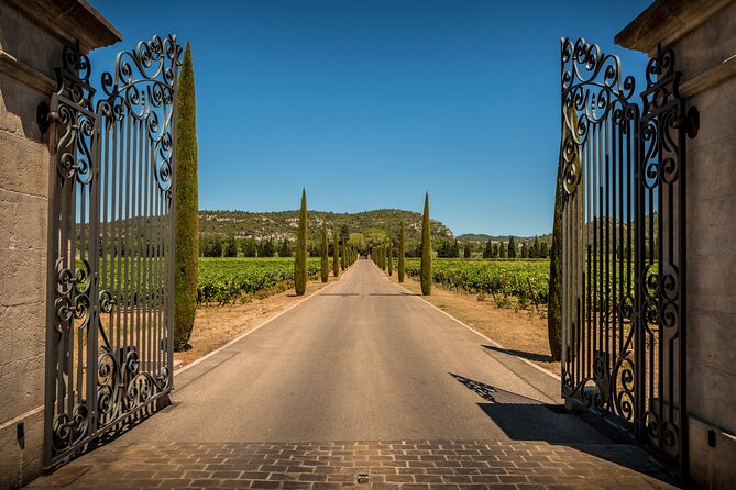 Provence small group half-day wine tour from Aix - Tasting and the Learning Experience