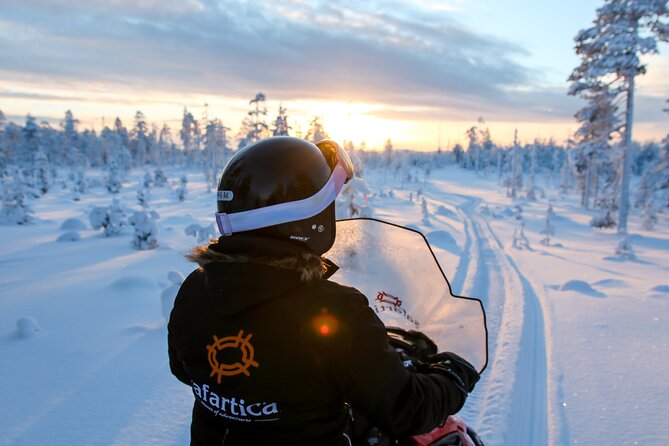 Scenic Snowmobile Safari in Saariselkä - The Sum Up: Who Is This Tour Best For?