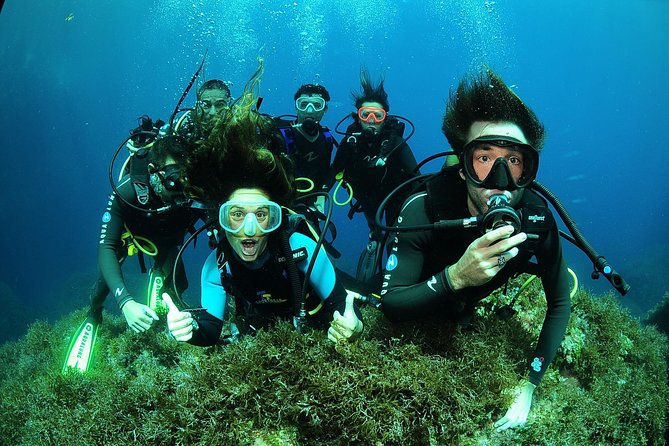 Scuba Diving Baptism and Snorkeling in Ibiza - Logistics and Practical Tips