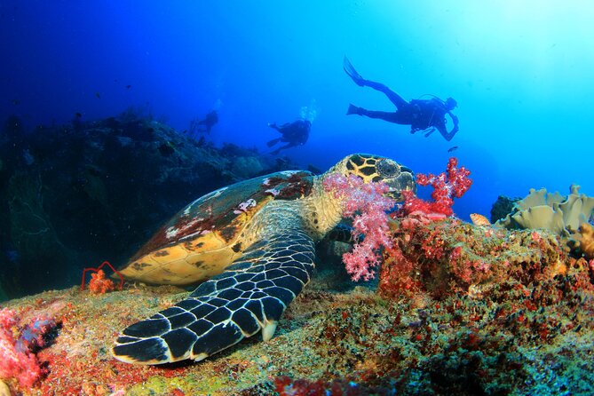 Scuba Diving Tour in Antalya with Lunch and Transfer - FAQs About the Antalya Scuba Diving Tour