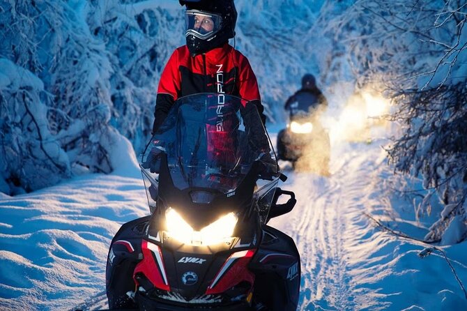 Snowmobile Tour with Small Group in Remote Wilderness 3 Hours - Who Will Enjoy This Tour?