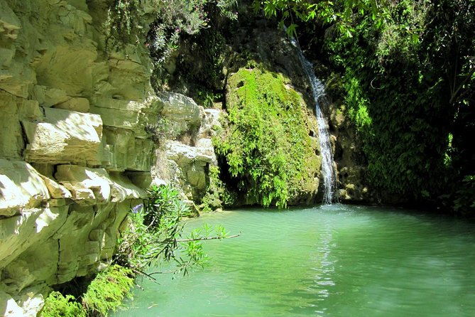 4 hour Quad & Buggy Safari Akamas(lara Bay) & Adonis Falls - Introduction to the Tour
