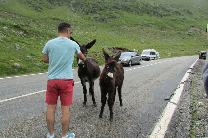 10 Days Private Tour in Romania from Bucharest