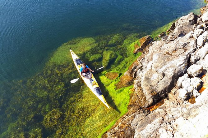 3-Day Stockholm Archipelago Kayaking and Camping Tour - Who Will Love This Experience?