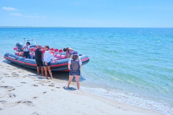 Dolphin watching in Setúbal - The Practical Side: Booking, Cancellation, and Value
