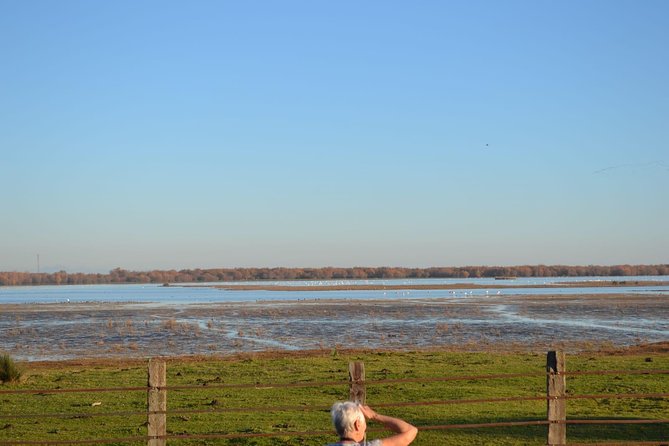 Donana National Park and El Rocío: Guided Tour from Seville - The Price and Its Value