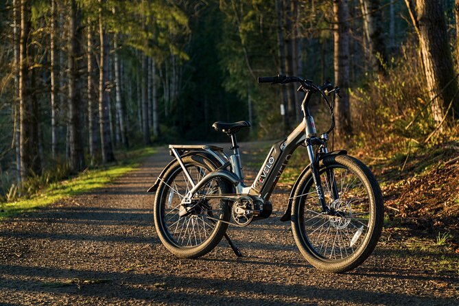 E-Scooter - E-Bike - Quadracycle - Bikes - Kick Scooter - Frequently Asked Questions (FAQs)