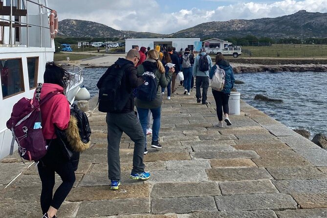 From Stintino: minivan tour of Asinara - What the Reviews Say