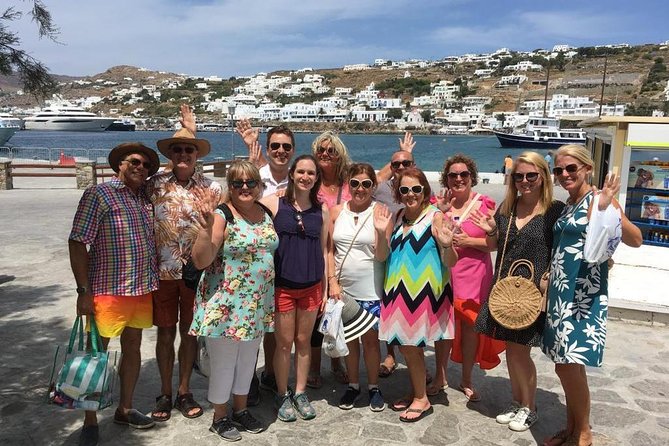 Half-Day Highlights of Mykonos Tour - Value for Money and What You Receive