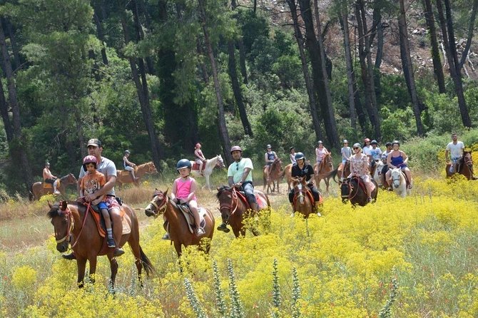 Horseback Riding From Kusadasi Port For Cruise Guests - Practical Tips for Future Riders