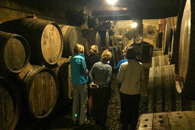 Mount Teide and Tenerife North with Food & Wine Tasting Private Tour - Authentic Reviews and Real Experiences