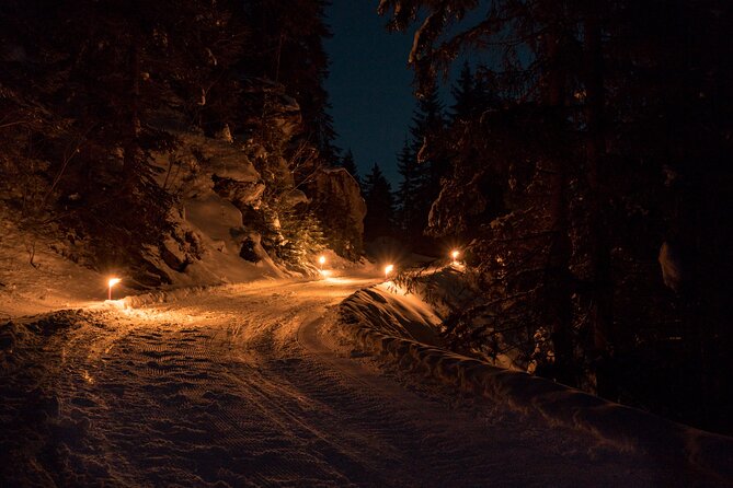 Night Sledding from Interlaken - The Value Proposition: Is it Worth It?