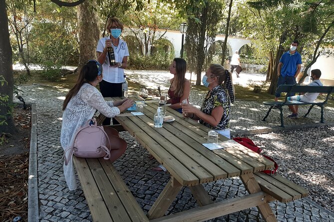 Private Tour of Azeitão / Palmela / Setúbal Wines - Who Should Consider This Tour?