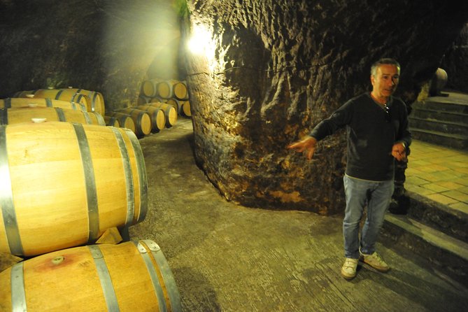 Ribera del Duero Wineries Guided Tour & Wine Tasting from Madrid - Return to Madrid