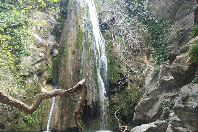 Richtis Waterfall, History, Azoria, OliveTasting, NorthCoast - Who Would Love This Tour?