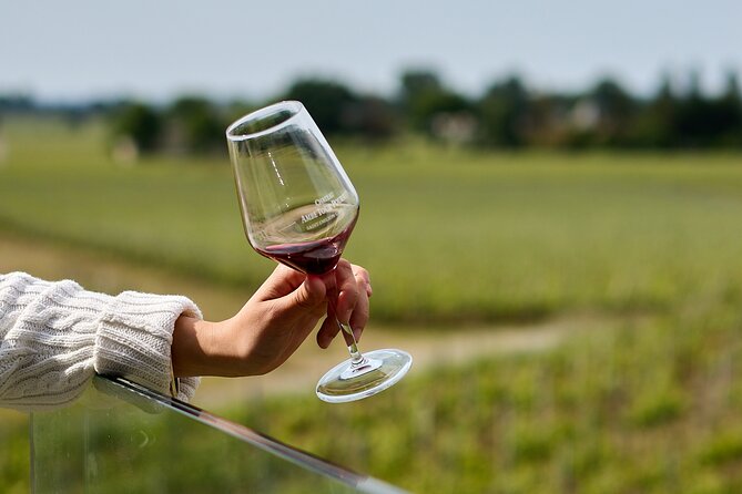 Saint-Émilion day tour: village visit, Châteaux and lunch - Who Will Love This Tour?