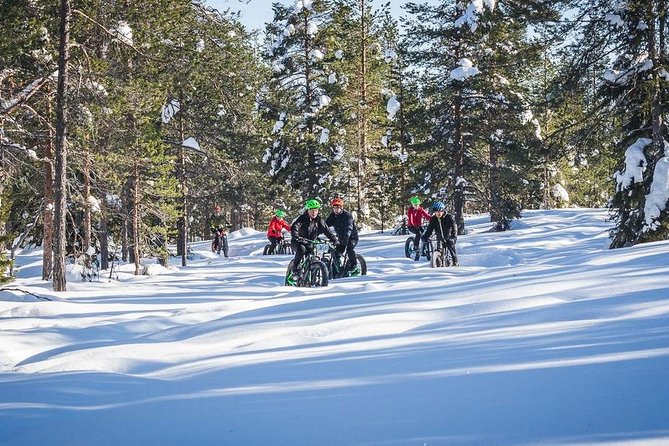 Scenic electric fat bike group ride in Rovaniemi - The Value and Pricing