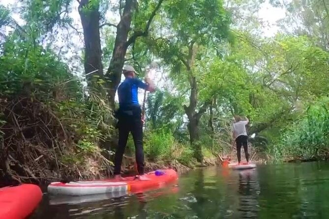 2 Hours guided tour in Sup in the Syracuse coast - What Makes This Tour Truly Stand Out?