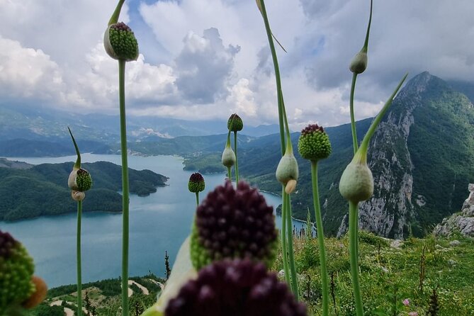 Hiking to Gamti, Bovilla Lake and Kruja Day Trip from Tirana - Why This Tour Stands Out