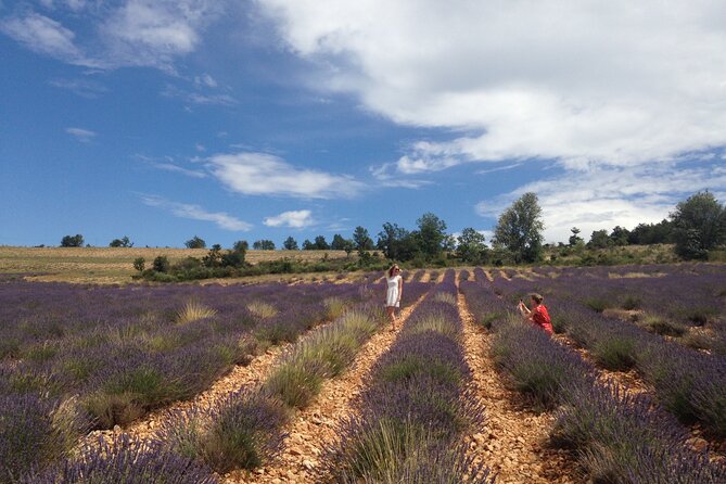 Lavender Full-day Tour in Sault From AIX-EN-PROVENCE - FAQ