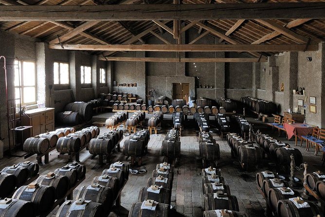 Parmigiano Reggiano & Aceto Balsamico Tradizionale - Final Words: Who Should Book This Tour?